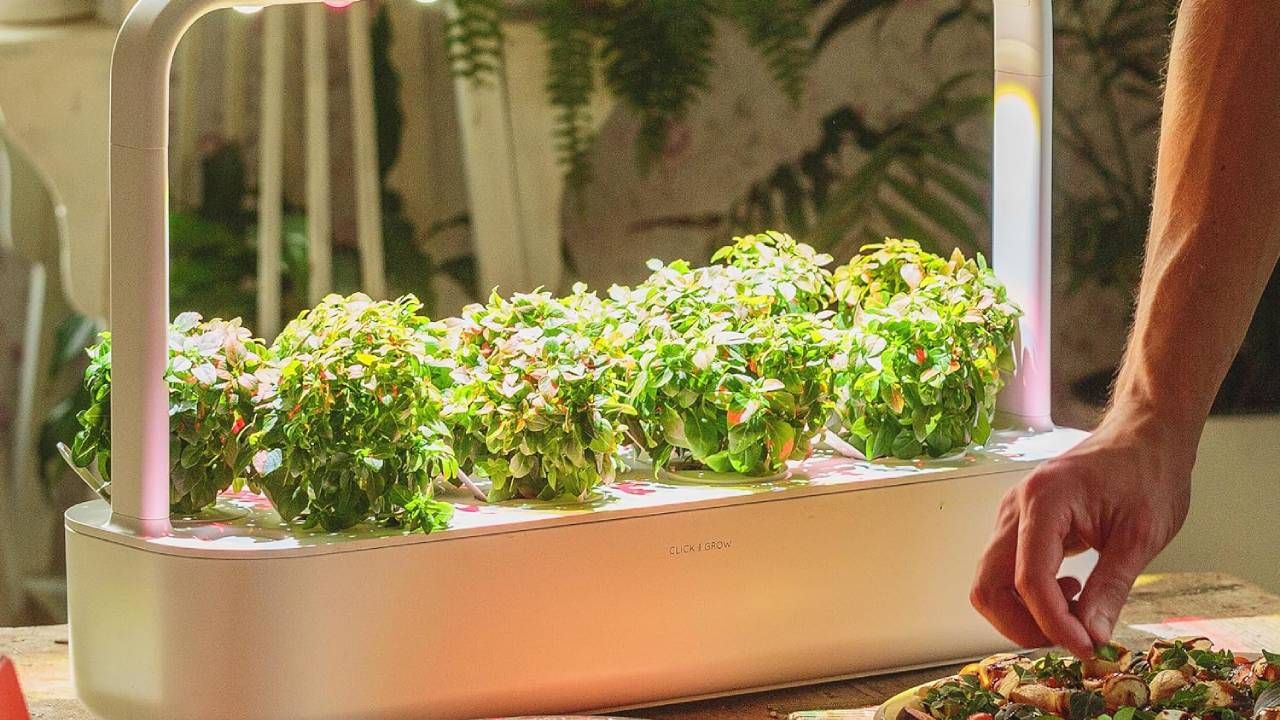 3 smart indoor growing systems to turn your home into a greenhouse | T3