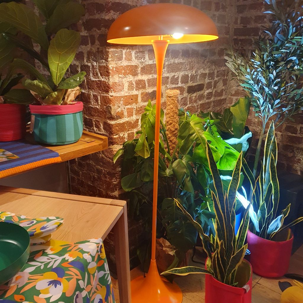 I got a preview of the Dunelm autumn/winter 2024 collection | Ideal Home