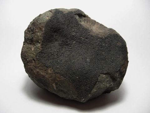 Fallen Stars: A Gallery of Famous Meteorites | Live Science
