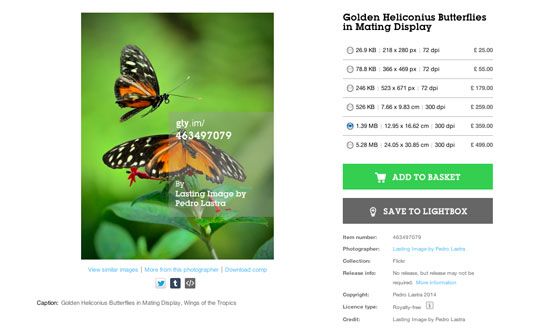 Getty makes 40 million stock photos available for free | Creative Bloq