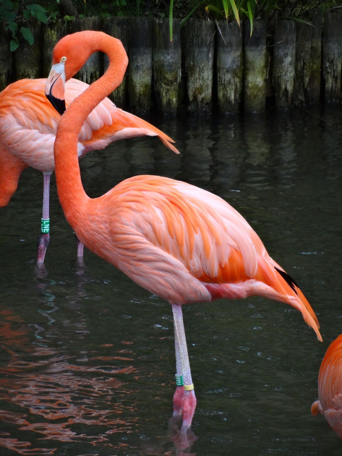 Sample images - Hands on: Sony QX10 review - Page 4 | TechRadar