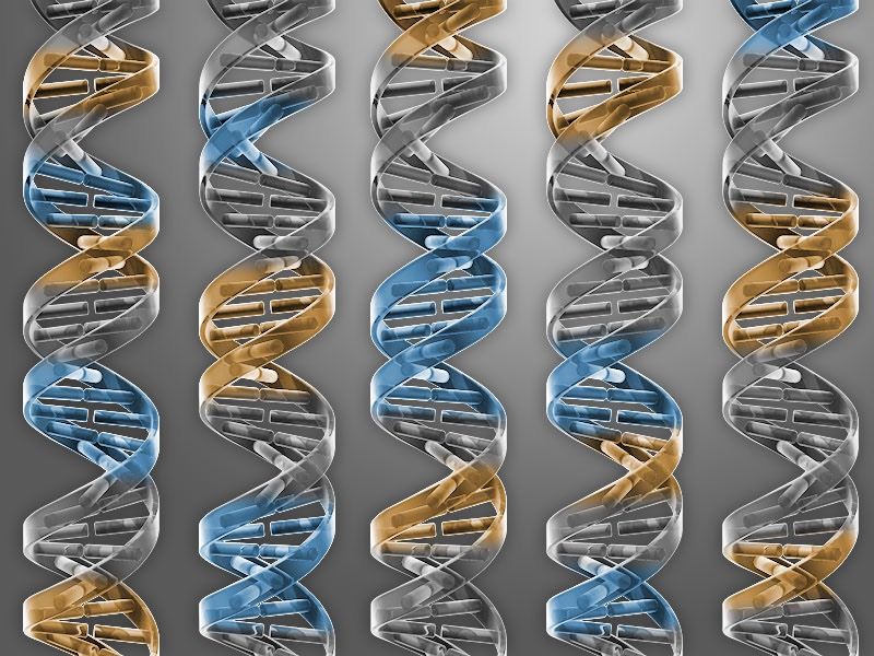 Tiny Artificial Life: Lab-Made Bacterium Sports Smallest Genome Yet ...