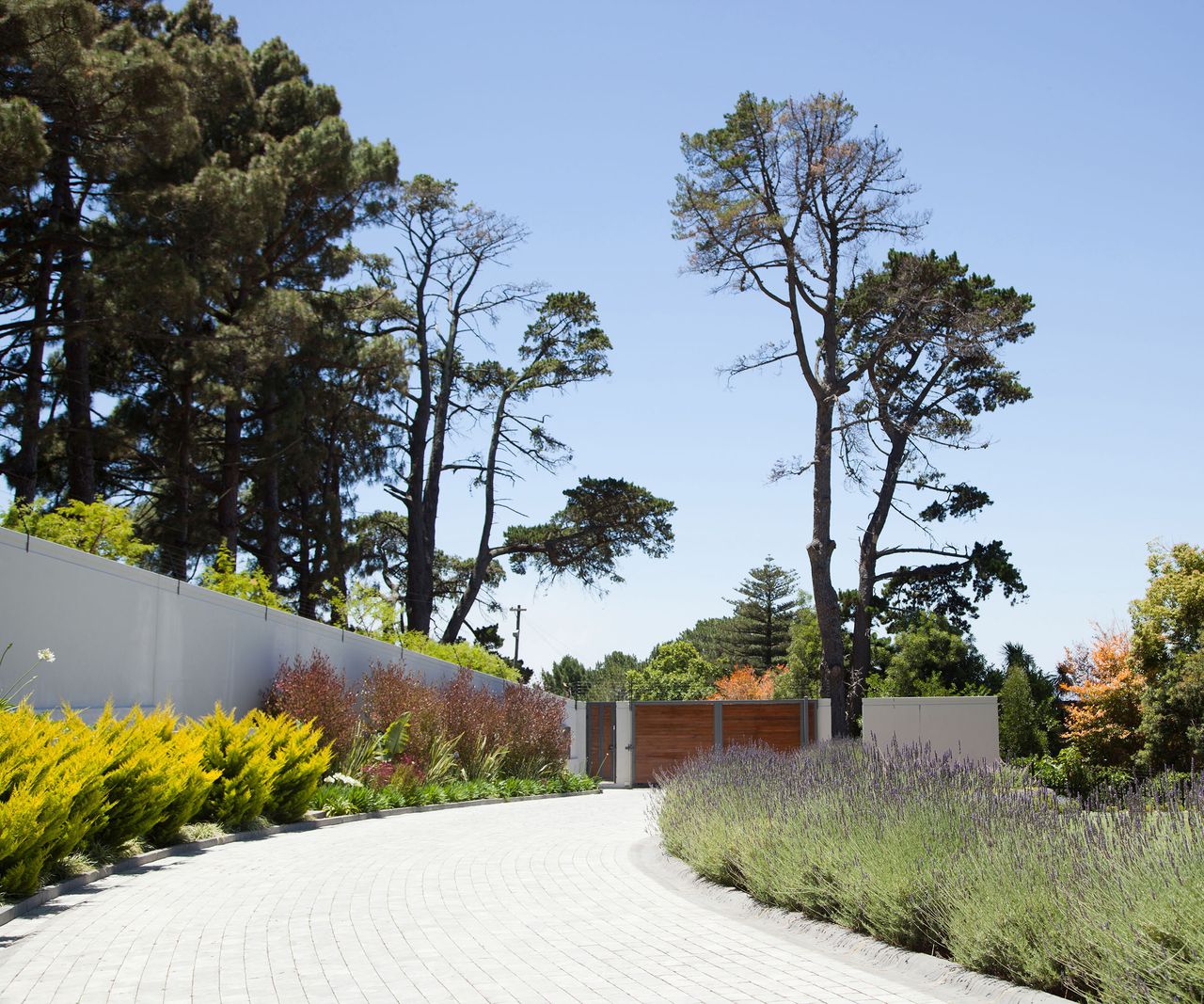 Can you use laundry detergent to get rid of moss on a drive? | Homes ...