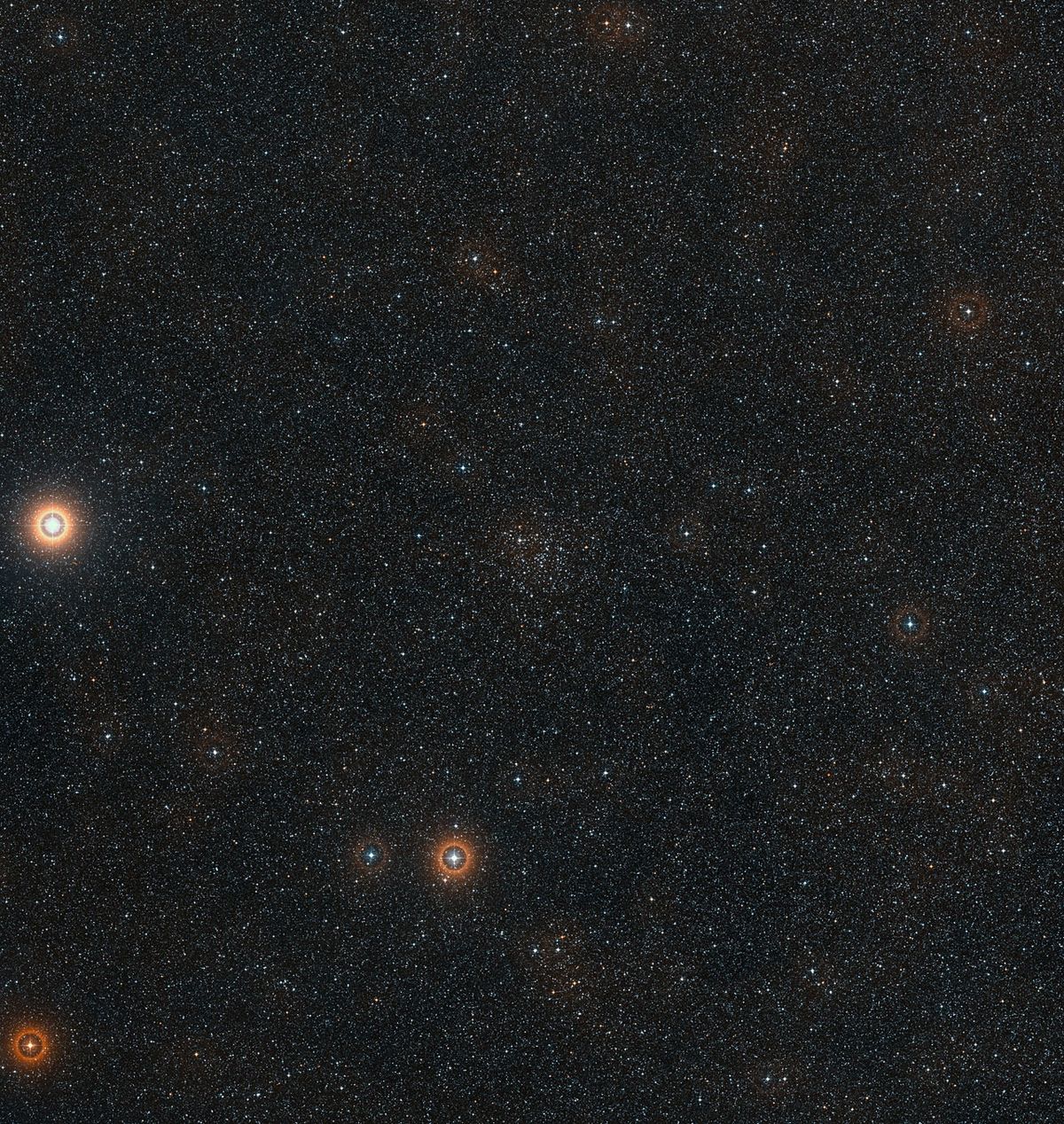 It's Full of Stars! Brilliant Cluster Captured in New Images, Video | Space