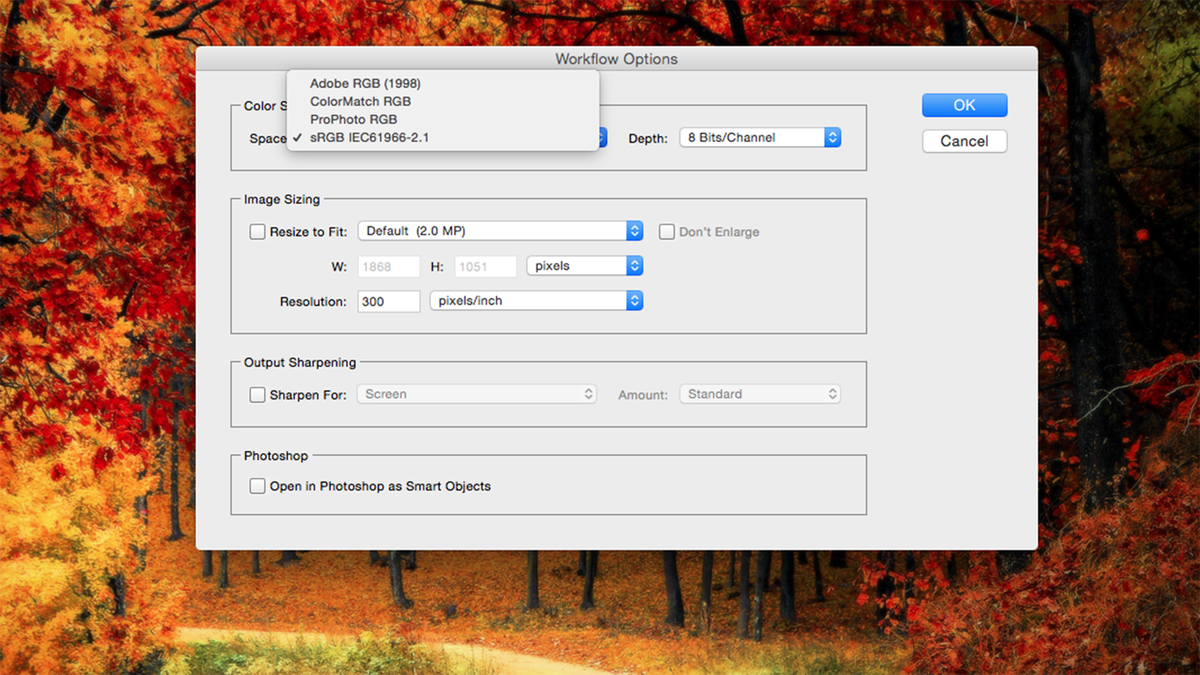 How to calibrate a monitor: make sure your photographs look at their ...
