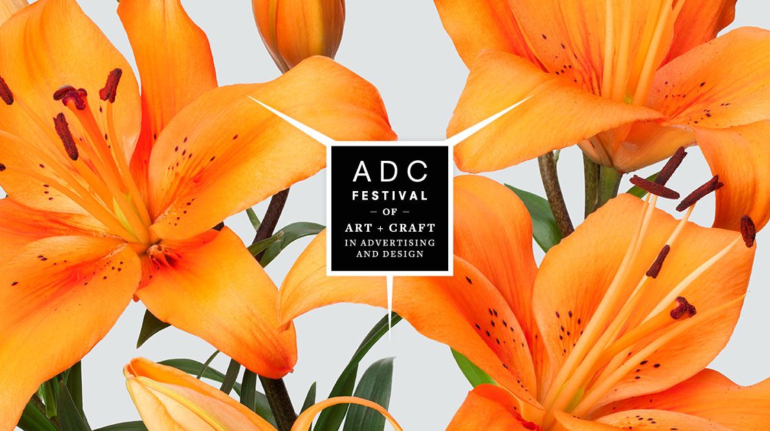 ADC Festival of Art & Craft launches Laser Cat | Creative Bloq