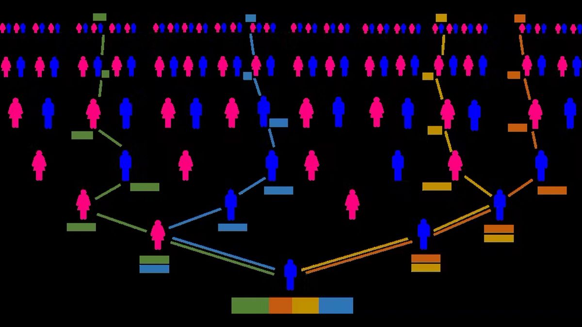 'You probably didn't inherit any DNA from Charlemagne': What it means ...