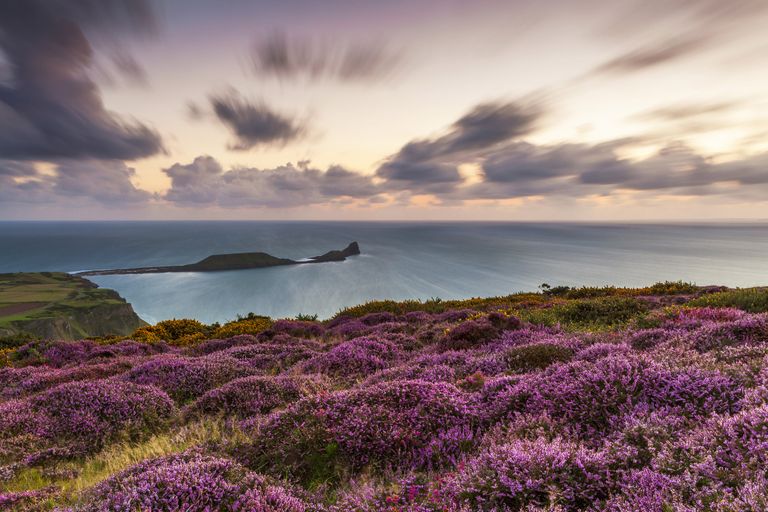 11 breathtaking images of The Gower, the spot so magnificent it ...