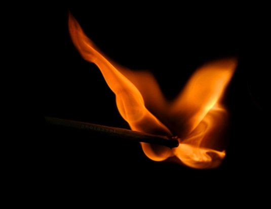 Still life photography: 30 beautiful examples | Creative Bloq