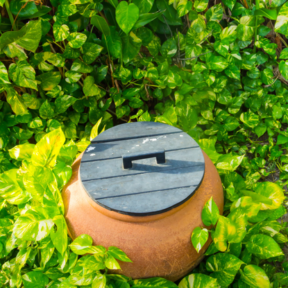 This hack will restore patchy grass in less than a week | Ideal Home