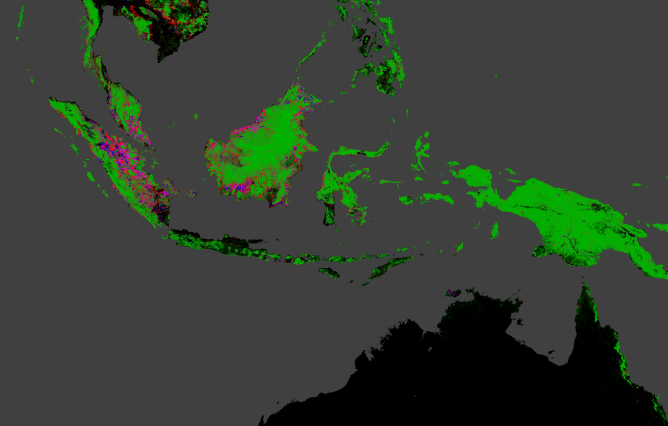Vanishing Forests: New Map Details Global Deforestation | Live Science