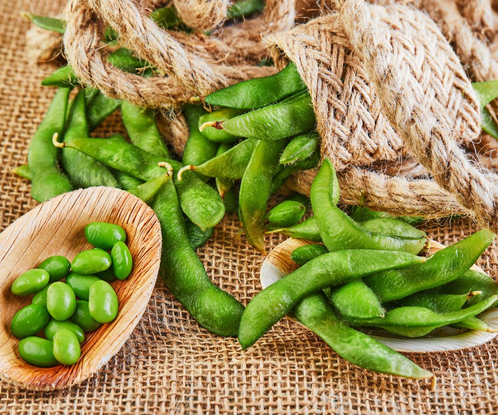 How to grow soybeans: expert tips on a dynamic superfood | Homes and Gardens