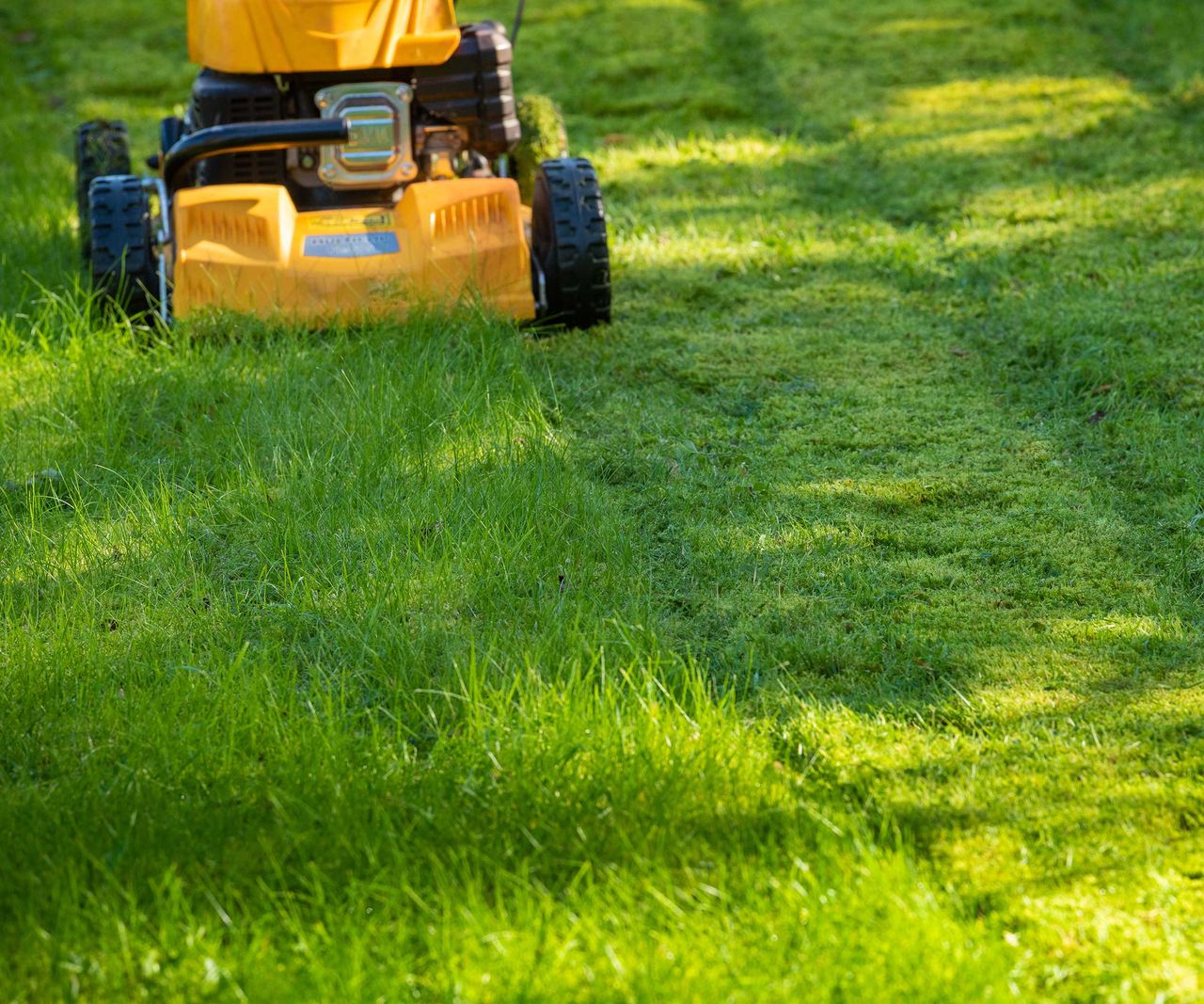 How to mow long grass: 5 steps to cutting an overgrown area | Homes and ...