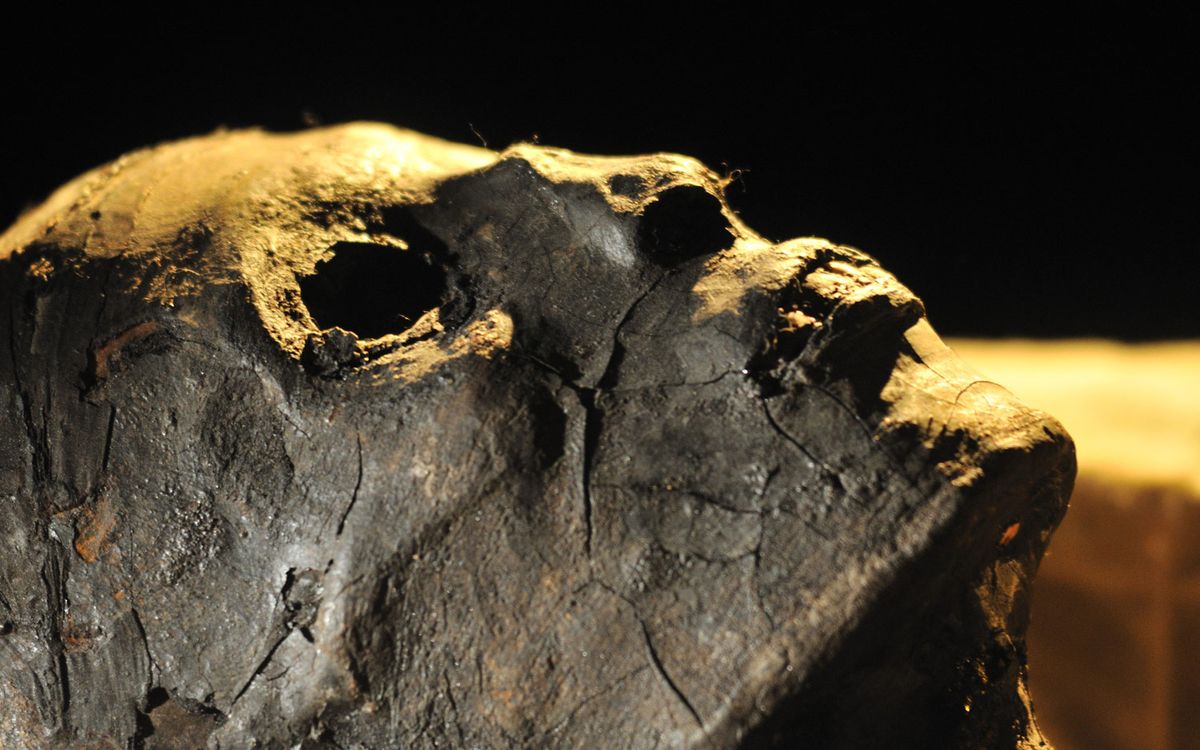 This 4 000 Year Old Mummy Just Solved A Century Old Mystery Live Science This 4 000 Year Old Mummy Just Solved A Century Old Mystery Live Science