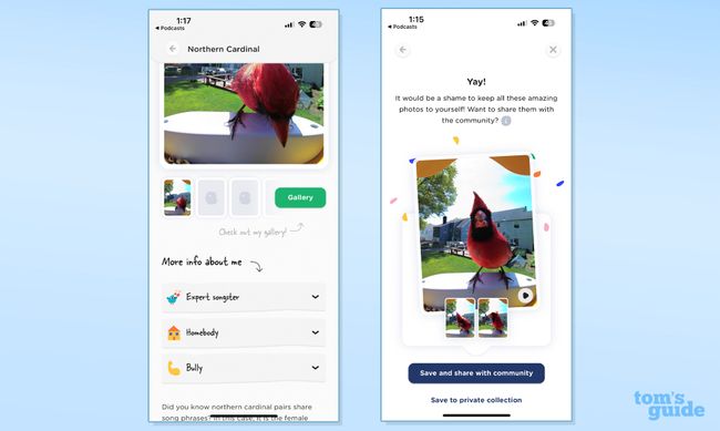 Bird Buddy review | Tom's Guide