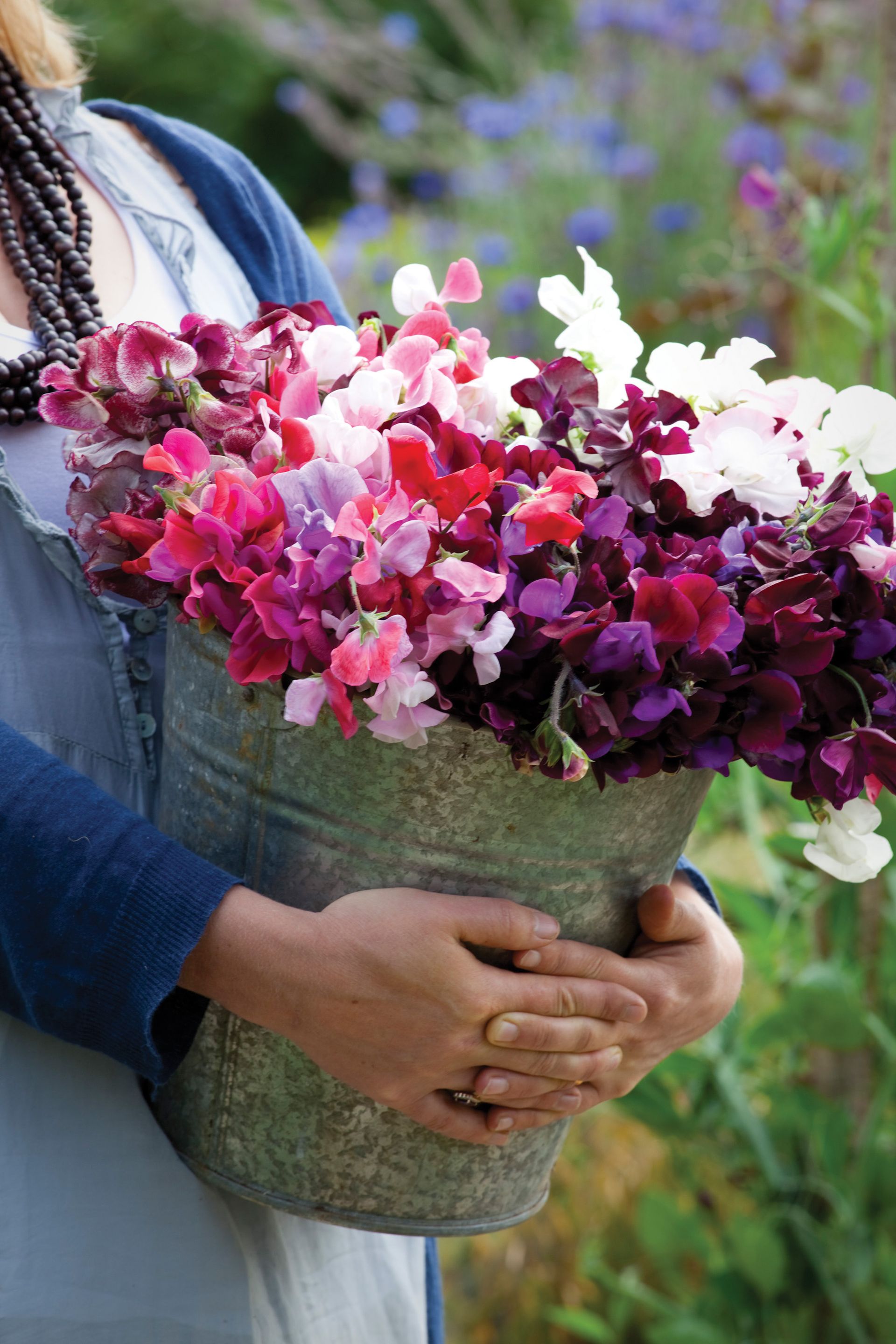 The one flower to grow for wedding bouquet, according to expert ...