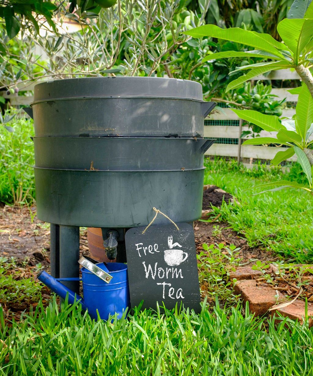 Worm composting: a practical guide on how to do it and why it's good ...