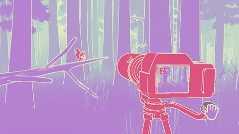 The best photography games on PC | PC Gamer