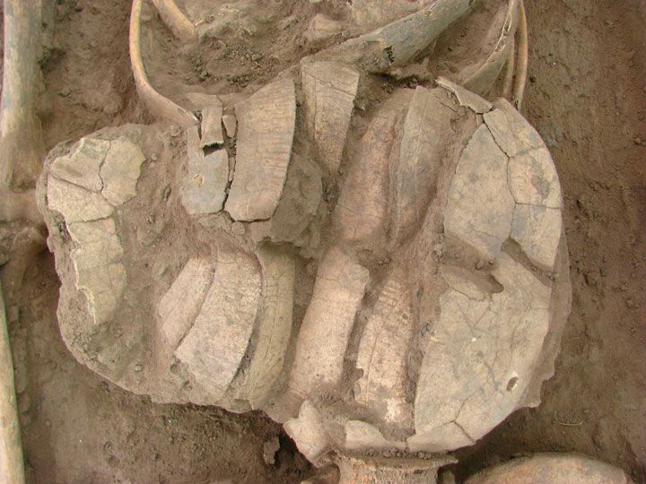 In Photos: 'Alien' Skulls Reveal Odd, Ancient Tradition | Live Science