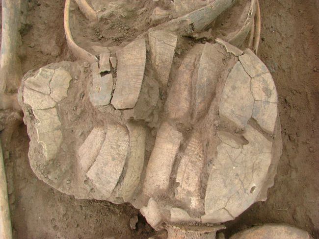 In Photos: 'Alien' Skulls Reveal Odd, Ancient Tradition | Live Science