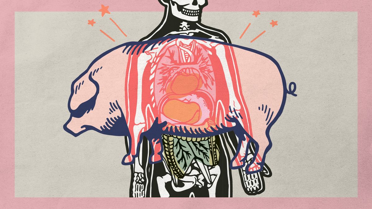 3 cheers for the pig man | The Week