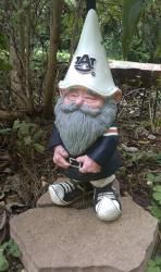 Touch Pro 2 Camera Revisited | Windows Central