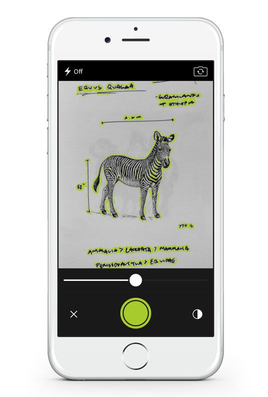 New app lets you create Illustrator vectors from smartphone photos ...