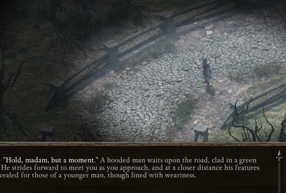 Pillars of Eternity diary: playing as a party of bears | PC Gamer