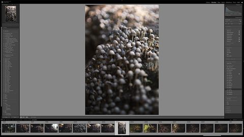 24 creative photography projects for 2024 | Digital Camera World