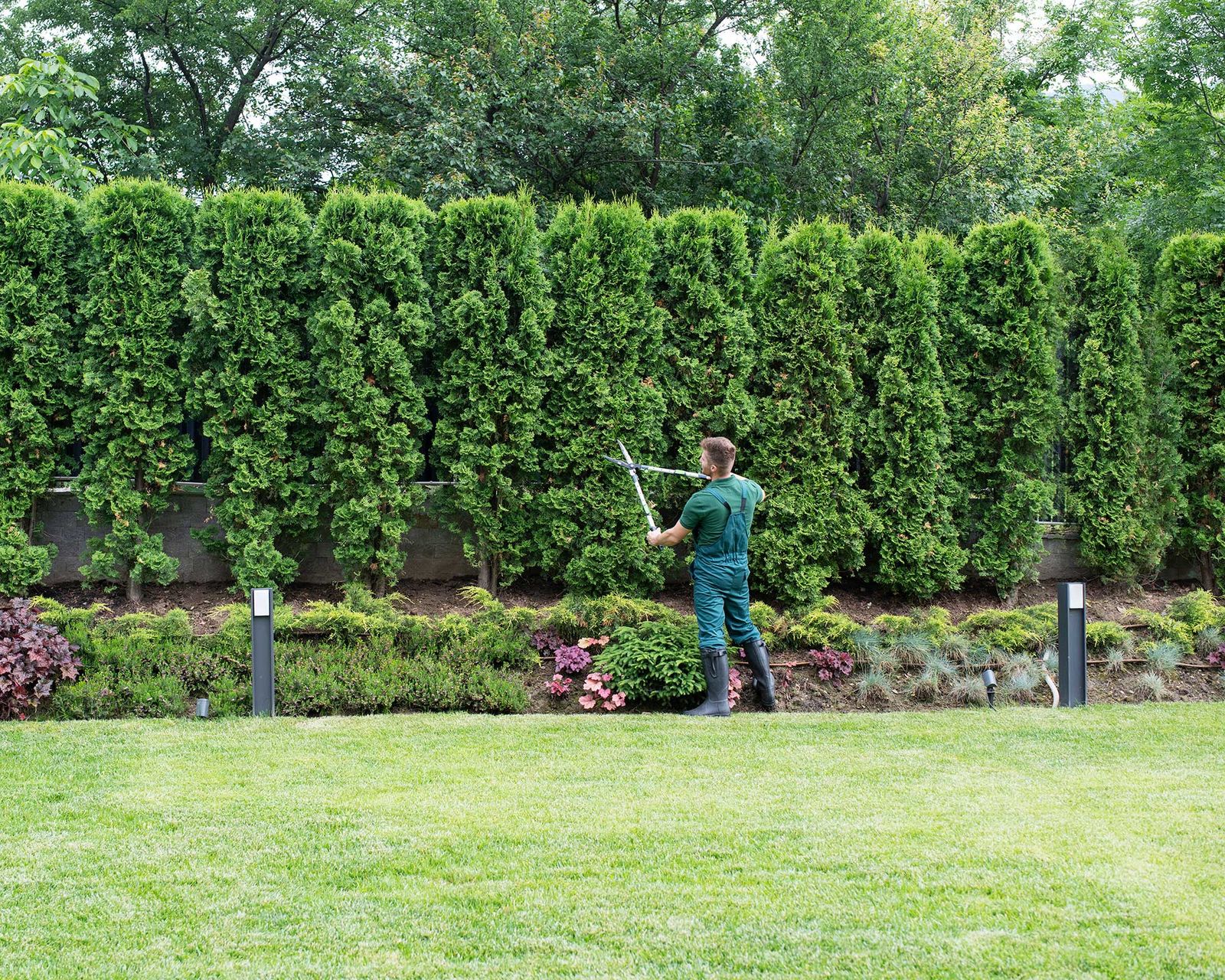 How to sharpen garden shears in 7 easy steps | Gardeningetc