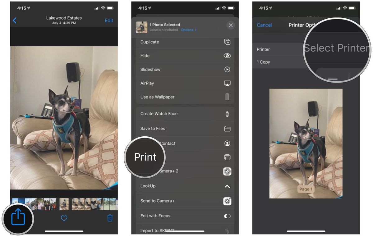 How to print and share from Photos on iPhone and iPad | iMore