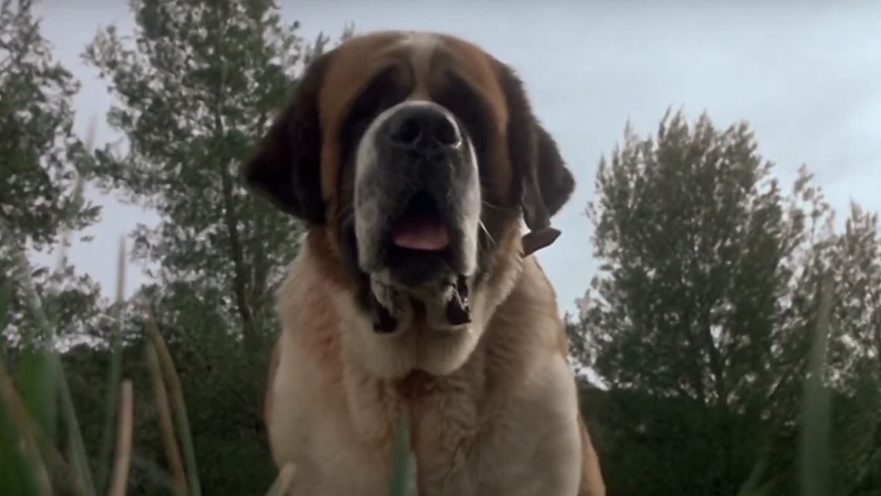Netflix’s Cujo Remake May Have Found Its Director, And I'd Love This ...