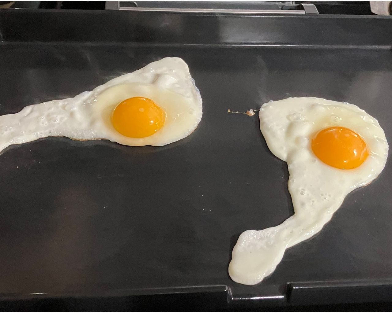 Ninja Sizzle Smokeless Indoor Grill and Griddle review | Real Homes