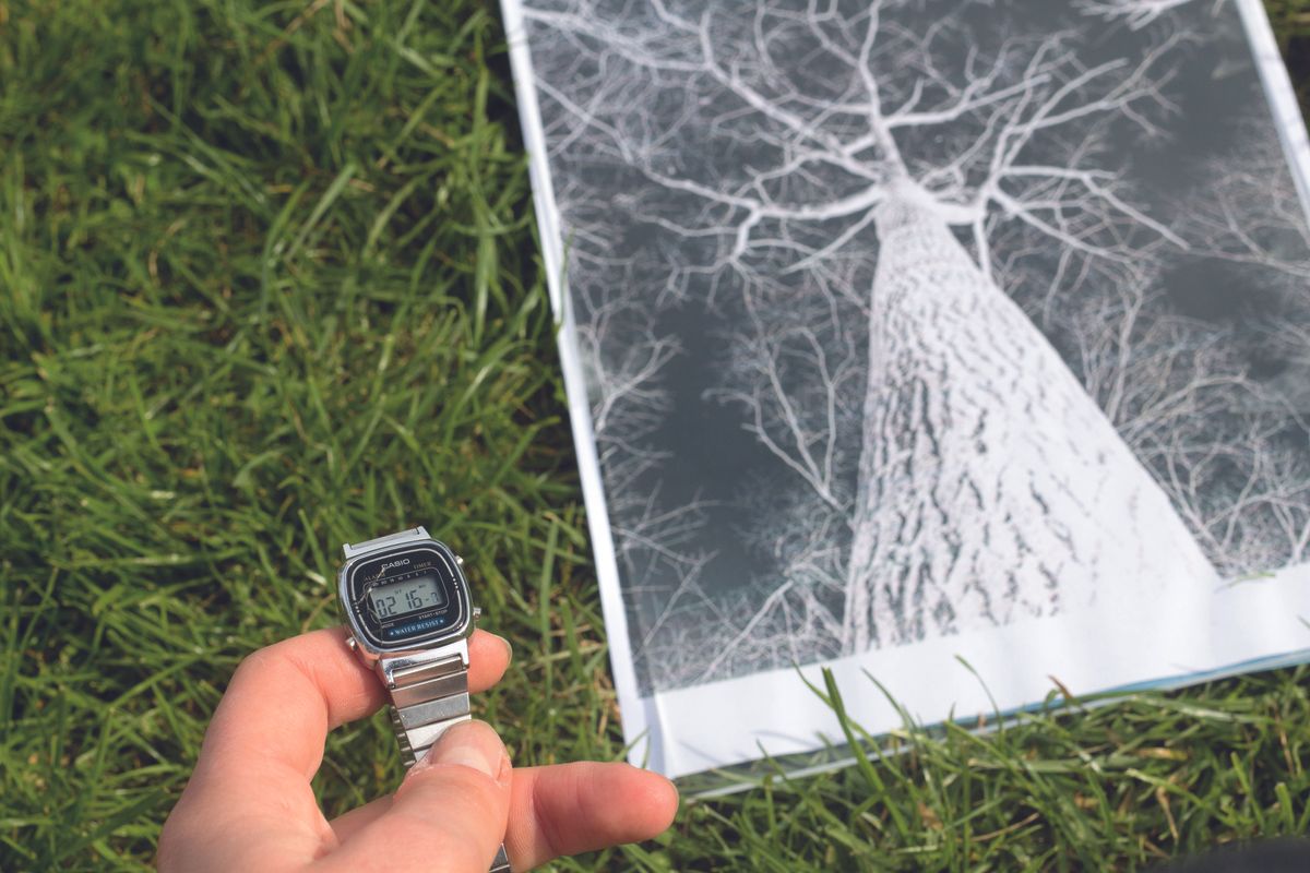 Home photography ideas: How to make a sunprint in just 30 minutes ...