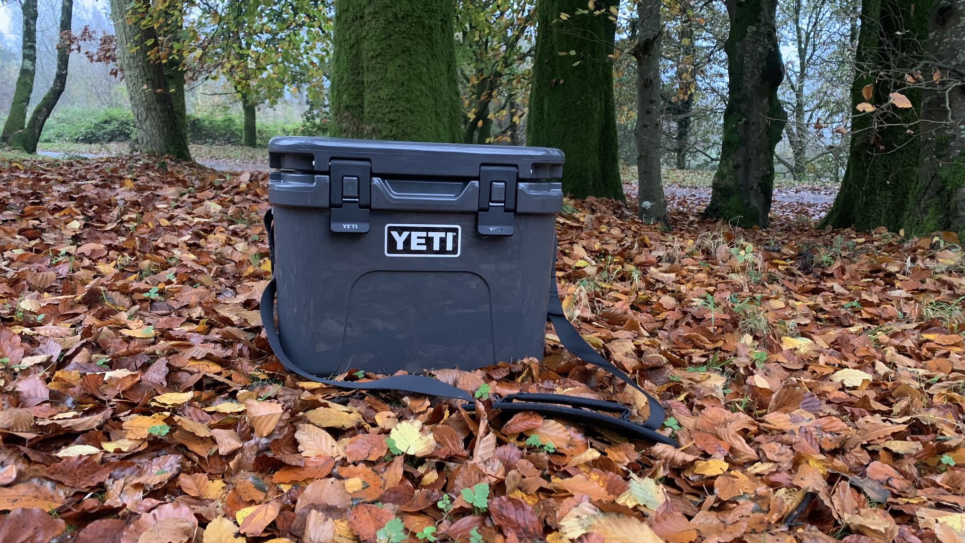 Yeti Roadie 15 Hard Cooler review: compact, carryable and very, very ...