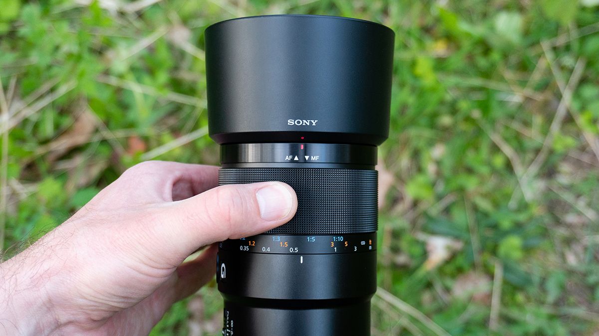 Macro photography: five ways to focus your close-up shots | TechRadar