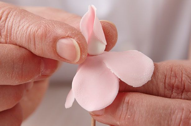 How to make sugar roses | GoodtoKnow