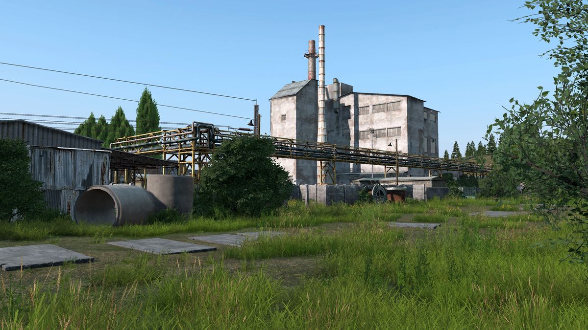DayZ gets a new map, bears | PC Gamer