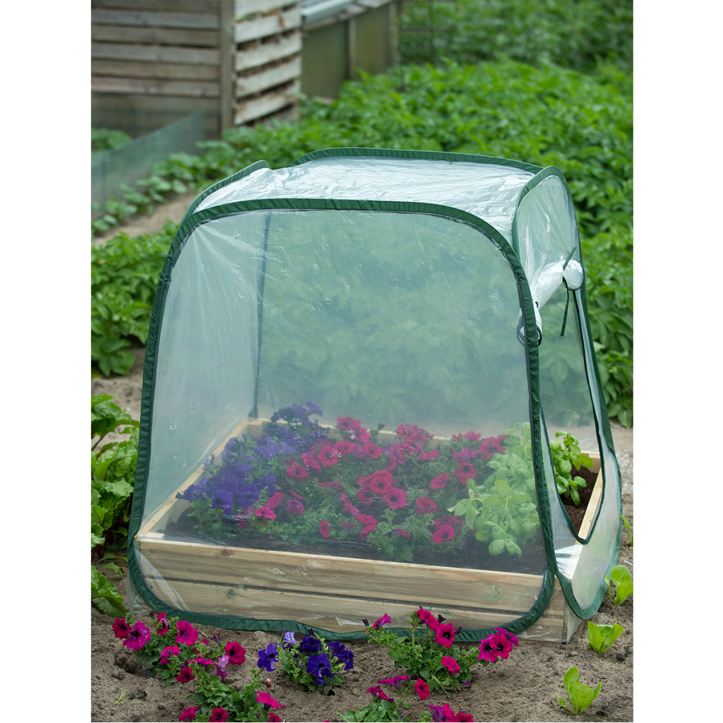 Best mini greenhouse: find the perfect design for your small space ...