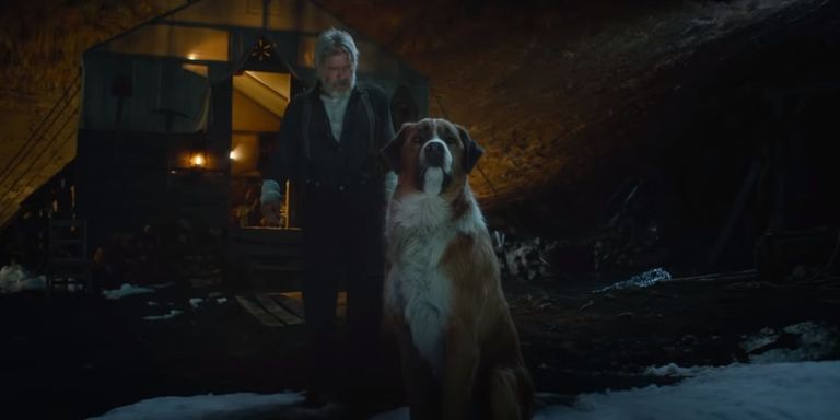 The Call Of The Wild Review: A Heartwarming Story Despite The Slightly ...