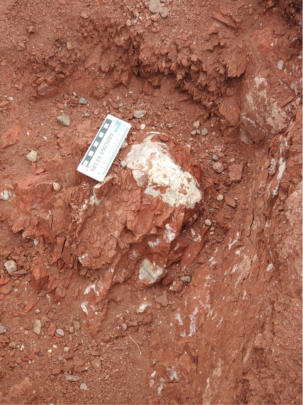 Refuge from the worst mass extinction in Earth's history discovered ...