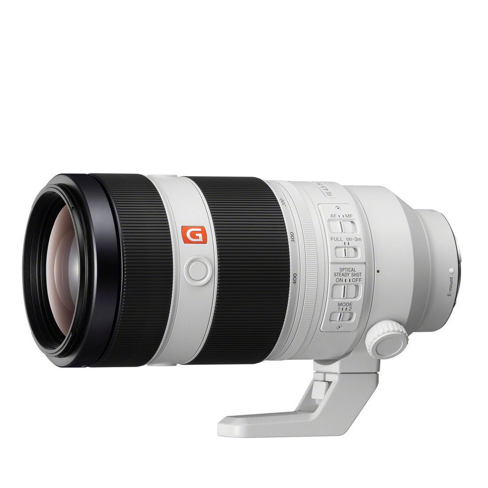 The best lenses for safari photography: get close to wildlife while maintaining a respectful ...