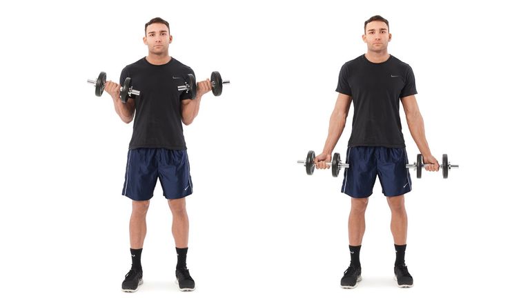 How to do a biceps curl | Fit&Well