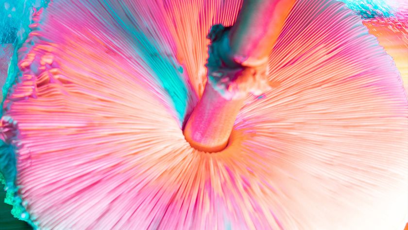 Medicine - News and Scientific Articles on Live Science | Live Science