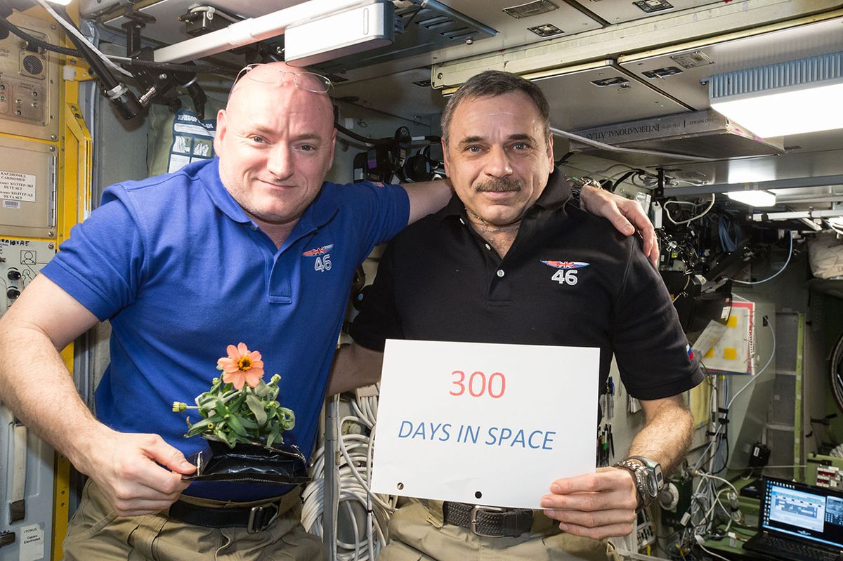Scott Kelly's Yearlong Space Station Mission: By the Numbers | Space