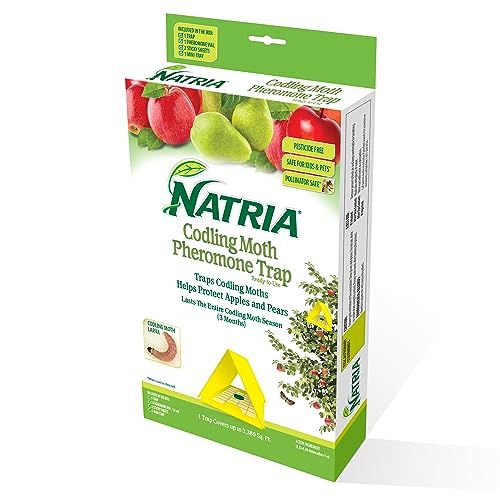 What are codling moths and what damage do they cause? | Homes and Gardens