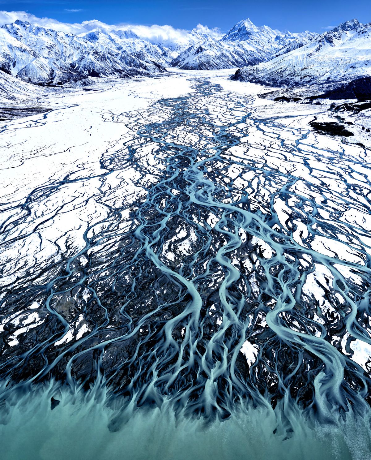 Spring into nature with the stunning winners of the Nature Photography ...