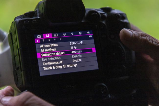 How has camera technology changed in the last two decades? | Digital ...