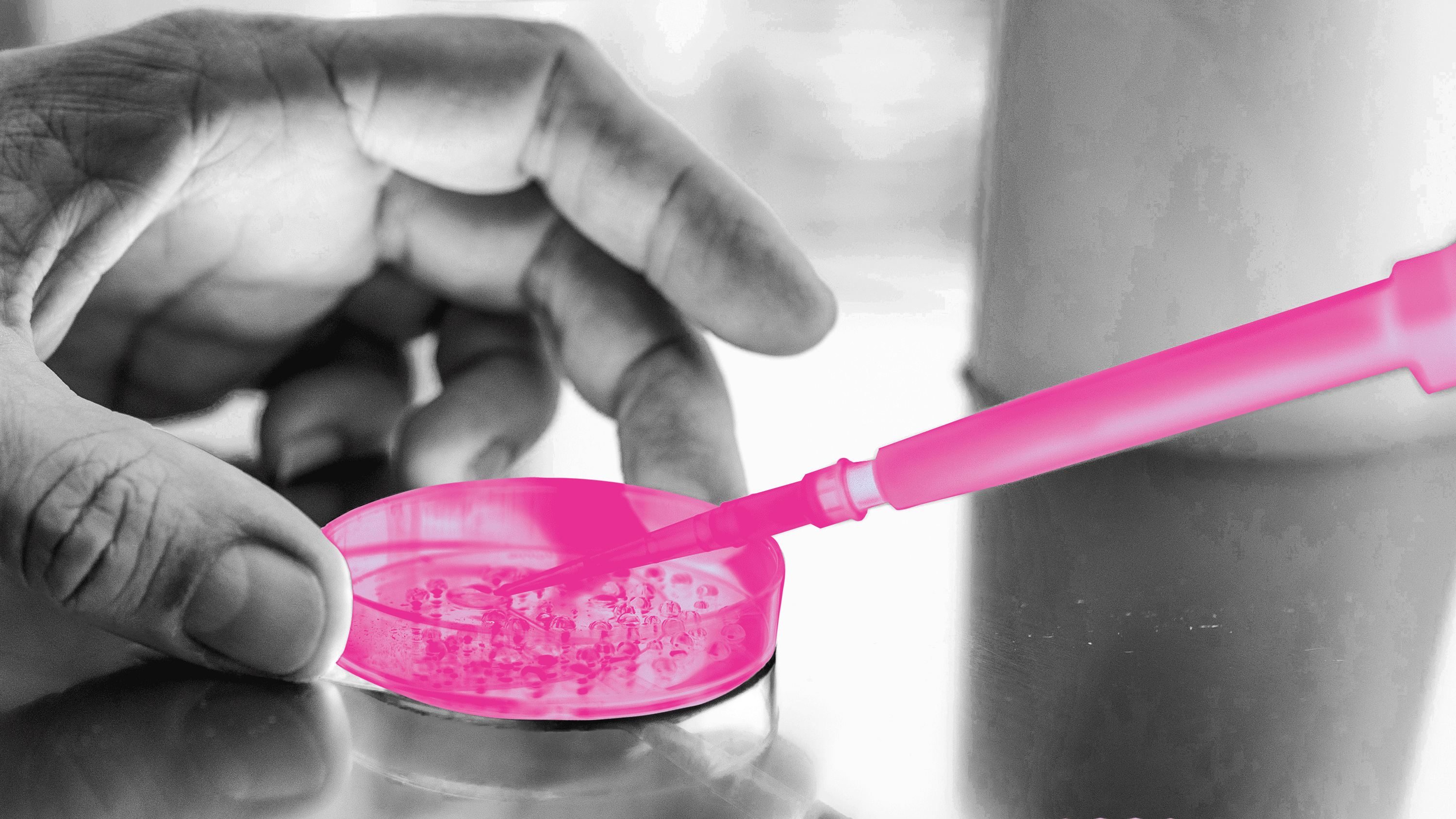 Alabama’s Frozen Embryo Ruling Is Devastating Those Trying to Start ...