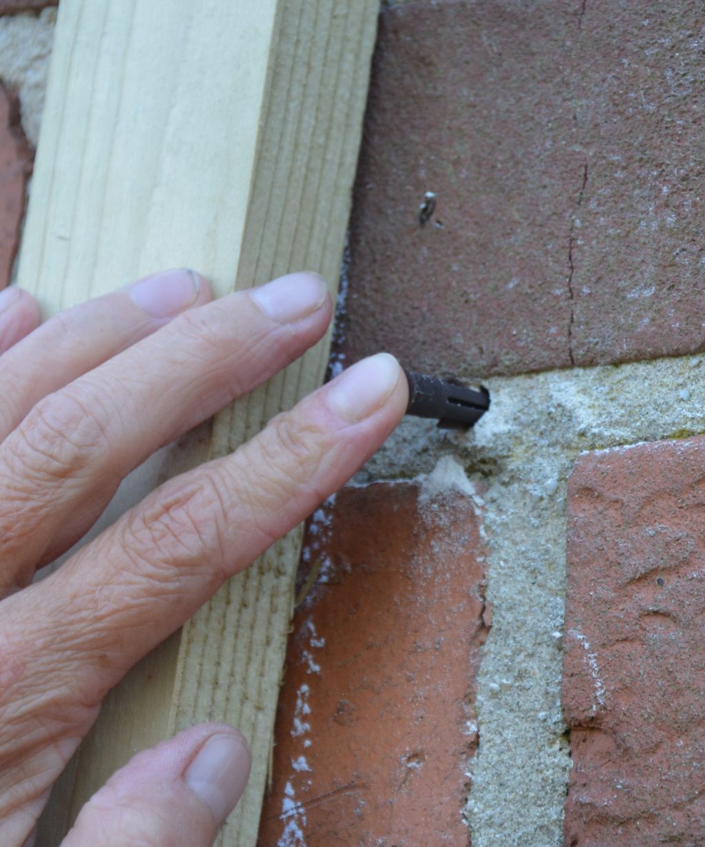 How to put up a wall trellis: a step-by-step expert guide | Homes and ...